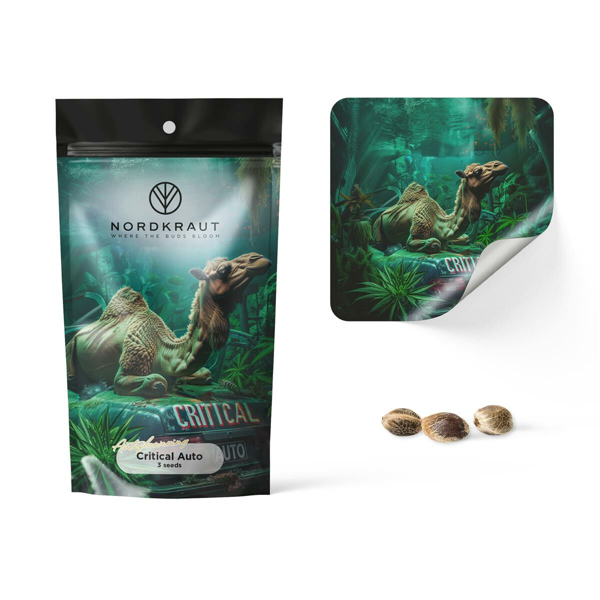 Critical Auto Cannabis Samen | NORDKRAUT PREMIUM SEEDS, 24,90